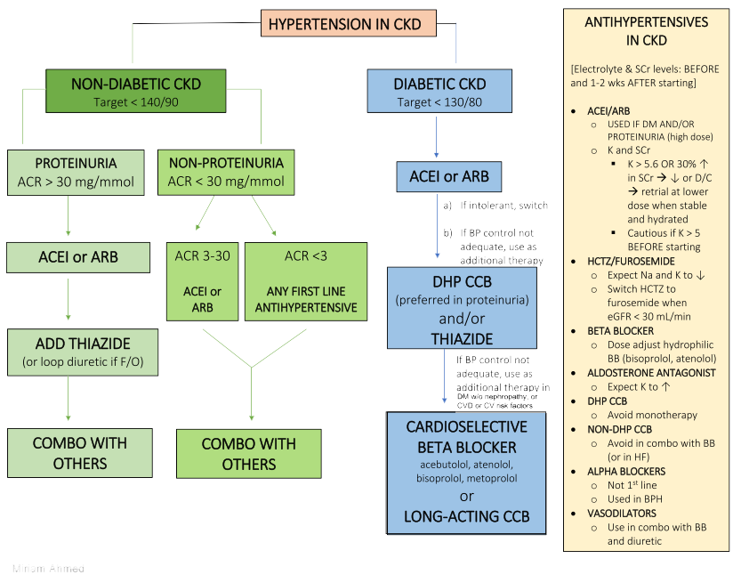HYPERTENSION IN CKD – RxNotes
